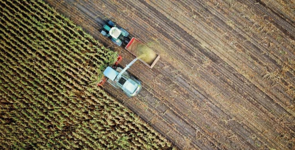L’Intelligence Artificielle face aux enjeux agricoles